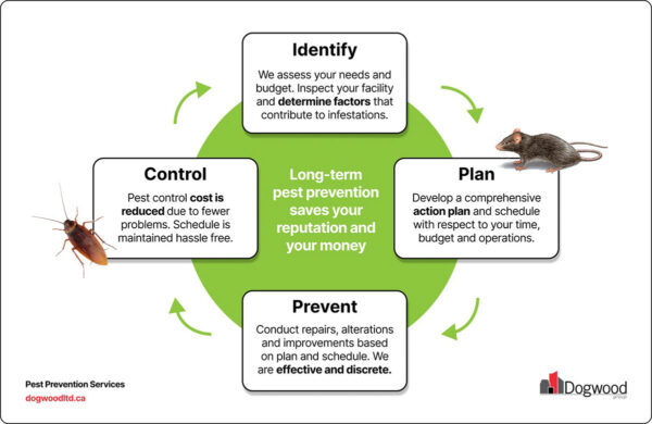 Is Killing Pests Killing Your Budget? – Dogwood Ltd